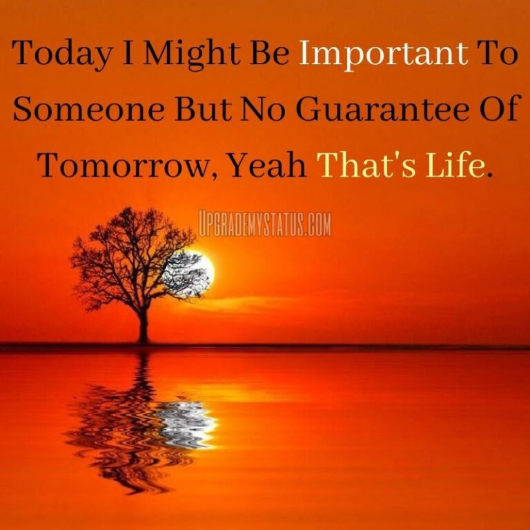 Updated 190+ Best Life Status In English For | WhatsApp | Instagram ...